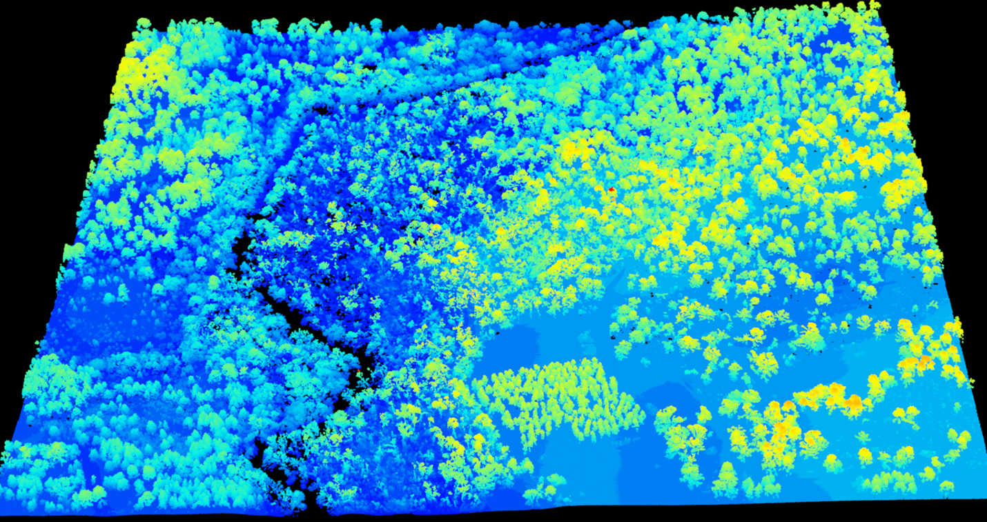 lidar Archives - The Jones Center at Ichauway Research Labs