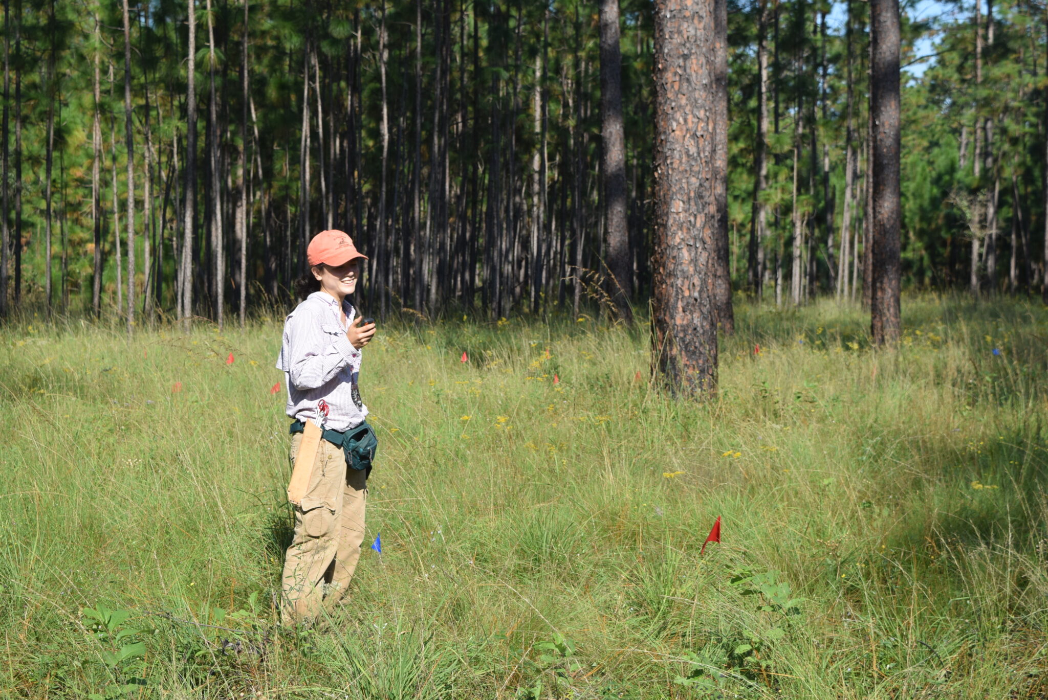 Jeffery B. Cannon – Forest Landscape Ecology - The Jones Center at ...