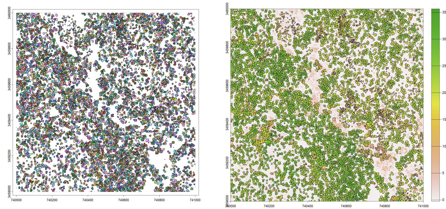 Module 3: Mapping trees from aerial LiDAR data - The Jones Center at ...
