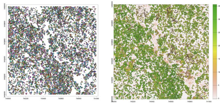 Module 3: Mapping trees from aerial LiDAR data - The Jones Center at ...