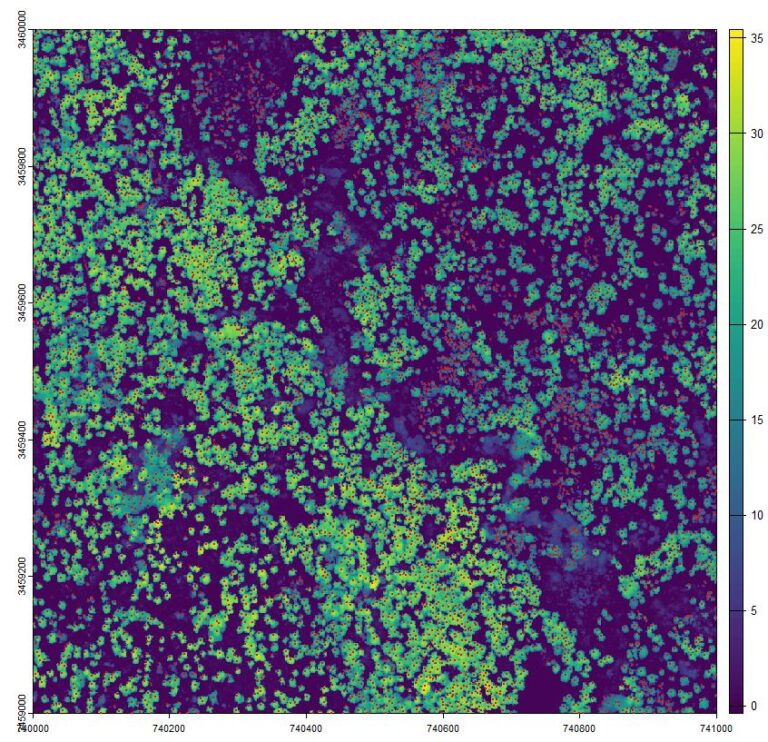 Module 3: Mapping trees from aerial LiDAR data - The Jones Center at ...